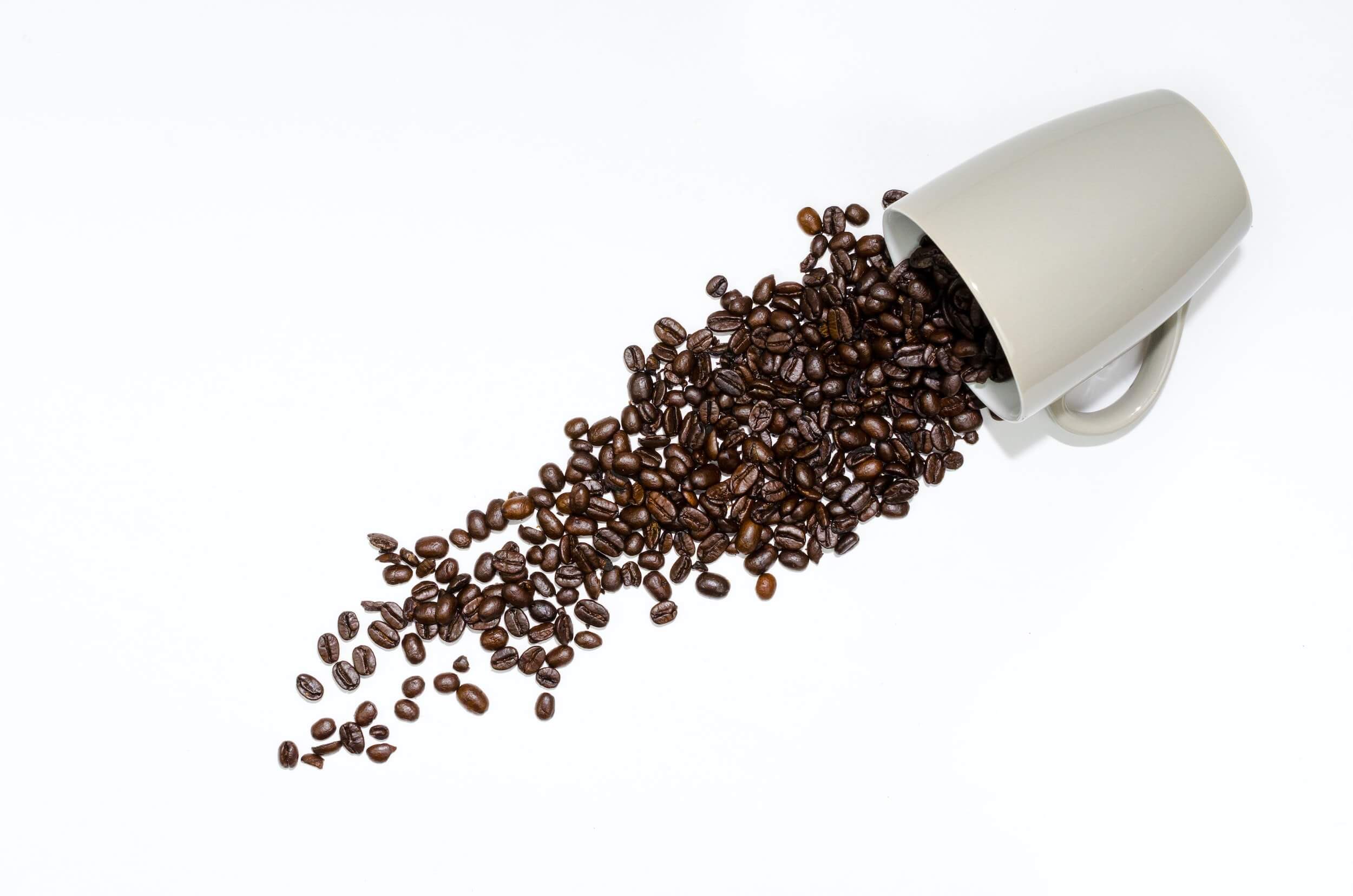 EVIDENCE BASED MUSCLE | DOES COFFEE HELP WEIGHT LOSS? GET THE FACTS