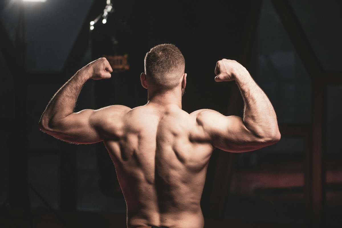 EVIDENCE BASED MUSCLE | Muscle Growth Supplements: What Really Works?